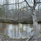 Poor Farm Park Trails, Virginia - 641 Reviews, Map | AllTrails