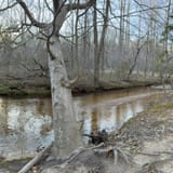 Poor Farm Park Trails, Virginia - 641 Reviews, Map | AllTrails