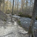 Poor Farm Park Trails, Virginia - 641 Reviews, Map | AllTrails