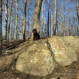 Poor Farm Park Trails, Virginia - 641 Reviews, Map | AllTrails