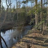 Poor Farm Park Trails, Virginia - 641 Reviews, Map | AllTrails