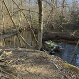 Poor Farm Park Trails, Virginia - 641 Reviews, Map | AllTrails