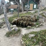 Carlito Springs Loop, New Mexico - 462 Reviews, Map | AllTrails