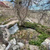 Carlito Springs Loop, New Mexico - 462 Reviews, Map | AllTrails