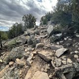 Carlito Springs Loop, New Mexico - 462 Reviews, Map | AllTrails