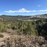 Carlito Springs Loop, New Mexico - 462 Reviews, Map | AllTrails