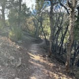 Carlito Springs Loop, New Mexico - 462 Reviews, Map | AllTrails