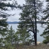 Tubbs Hill, Idaho - 4,033 Reviews, Map | AllTrails