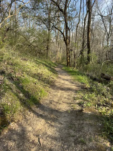 Best Kid Friendly Trails in East Fork State Park | AllTrails