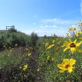 Fullerton Panorama Trail, California - 2,255 Reviews, Map | AllTrails