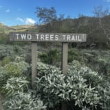 Two Trees Trail, California - 1,355 Reviews, Map | AllTrails