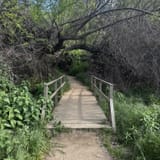 Two Trees Trail, California - 1,355 Reviews, Map | AllTrails