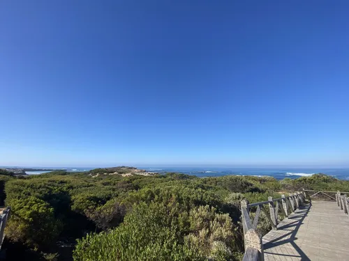 Best Hikes and Trails in Thunder Point Coastal Reserve | AllTrails