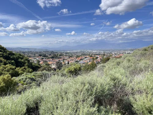 Best Trail Running Trails in La Habra | AllTrails