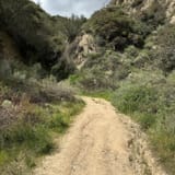 Altadena Crest Trail, California - 662 Reviews, Map | AllTrails