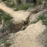 Altadena Crest Trail, California - 662 Reviews, Map | AllTrails