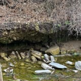 Dripping Rock Falls, Utah - 743 Reviews, Map | AllTrails