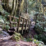 Boulder River Trail, Washington - 1,740 Reviews, Map | AllTrails