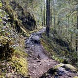 Boulder River Trail, Washington - 1,740 Reviews, Map | AllTrails