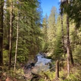 Boulder River Trail, Washington - 1,740 Reviews, Map | AllTrails