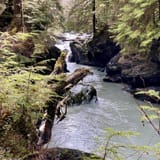Boulder River Trail, Washington - 1,740 Reviews, Map | AllTrails