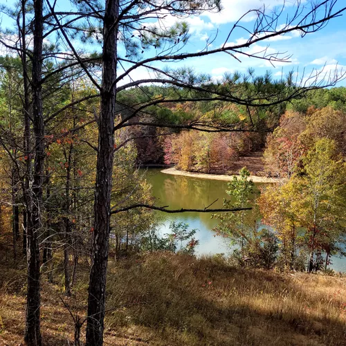 Best Hikes and Trails in Ragland | AllTrails