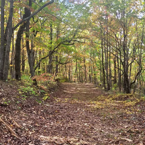 Best Hikes and Trails in Mountain Longleaf National Wildlife Refuge ...