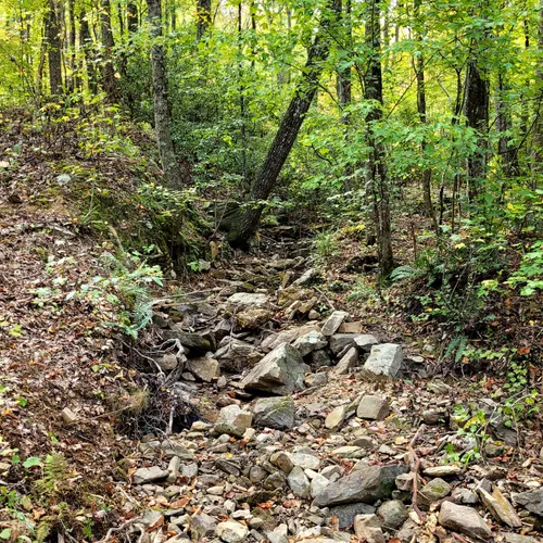 Best Hikes and Trails in Mountain Longleaf National Wildlife Refuge ...