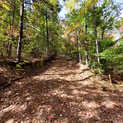 Best Hikes and Trails in Mountain Longleaf National Wildlife Refuge ...
