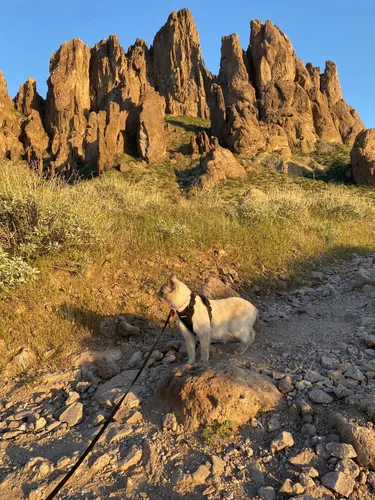 Best Easy Trails in Lost Dutchman State Park | AllTrails