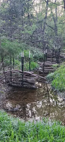 Best Hikes and Trails in Spring Creek Forest Preserve | AllTrails