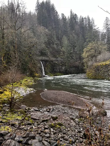 Best Trail Running Trails in Tillamook State Forest | AllTrails