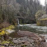 Wilson River Trail, Oregon - 654 Reviews, Map | AllTrails