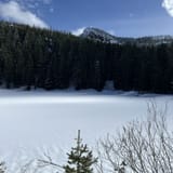 Mirror Lake Loop Trail, Oregon - 5,534 Reviews, Map | AllTrails