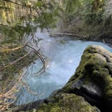 Kalama Falls Trail, Washington - 545 Reviews, Map | AllTrails