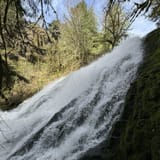 Alsea Falls and Green Peak Falls, Oregon - 1,097 Reviews, Map | AllTrails