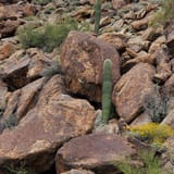 Pyramid Peak Loop, Arizona - 528 Reviews, Map | AllTrails