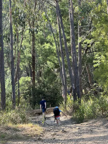 Best Hikes and Trails in Montrose | AllTrails