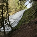 Alsea Falls and Green Peak Falls, Oregon - 1,047 Reviews, Map | AllTrails