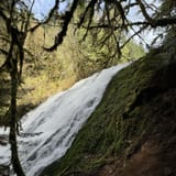 Alsea Falls and Green Peak Falls, Oregon - 1,047 Reviews, Map | AllTrails