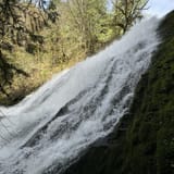 Alsea Falls and Green Peak Falls, Oregon - 1,047 Reviews, Map | AllTrails