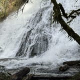 Alsea Falls and Green Peak Falls, Oregon - 1,047 Reviews, Map | AllTrails