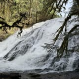 Alsea Falls and Green Peak Falls, Oregon - 1,047 Reviews, Map | AllTrails