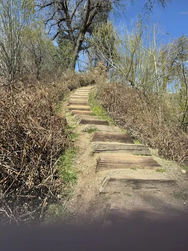 Best Hikes and Trails in The Wildlands Conservancy Oak Glen Preserve ...