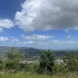 Mt Louisa Walking Track, Queensland, Australia - 231 Reviews, Map ...