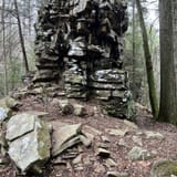 Fiery Gizzard: Grundy to Foster Falls, Tennessee - 570 Reviews, Map ...