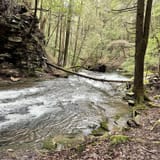 Fiery Gizzard: Grundy to Foster Falls, Tennessee - 570 Reviews, Map ...