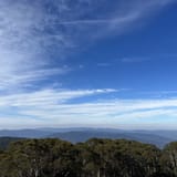 Mount Victoria Track, Victoria, Australia - 287 Reviews, Map | AllTrails