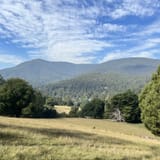 Mount Victoria Track, Victoria, Australia - 287 Reviews, Map | AllTrails