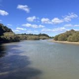 Waitangi to Haruru Falls Walk, Northland, New Zealand - 286 Reviews ...